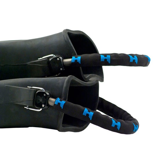 Halcyon Spring Heels | Dive Centre Bondi