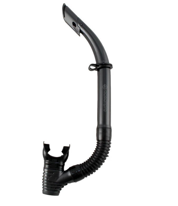 Ocean Pro Byron Snrokel | Dive Centre Bondi